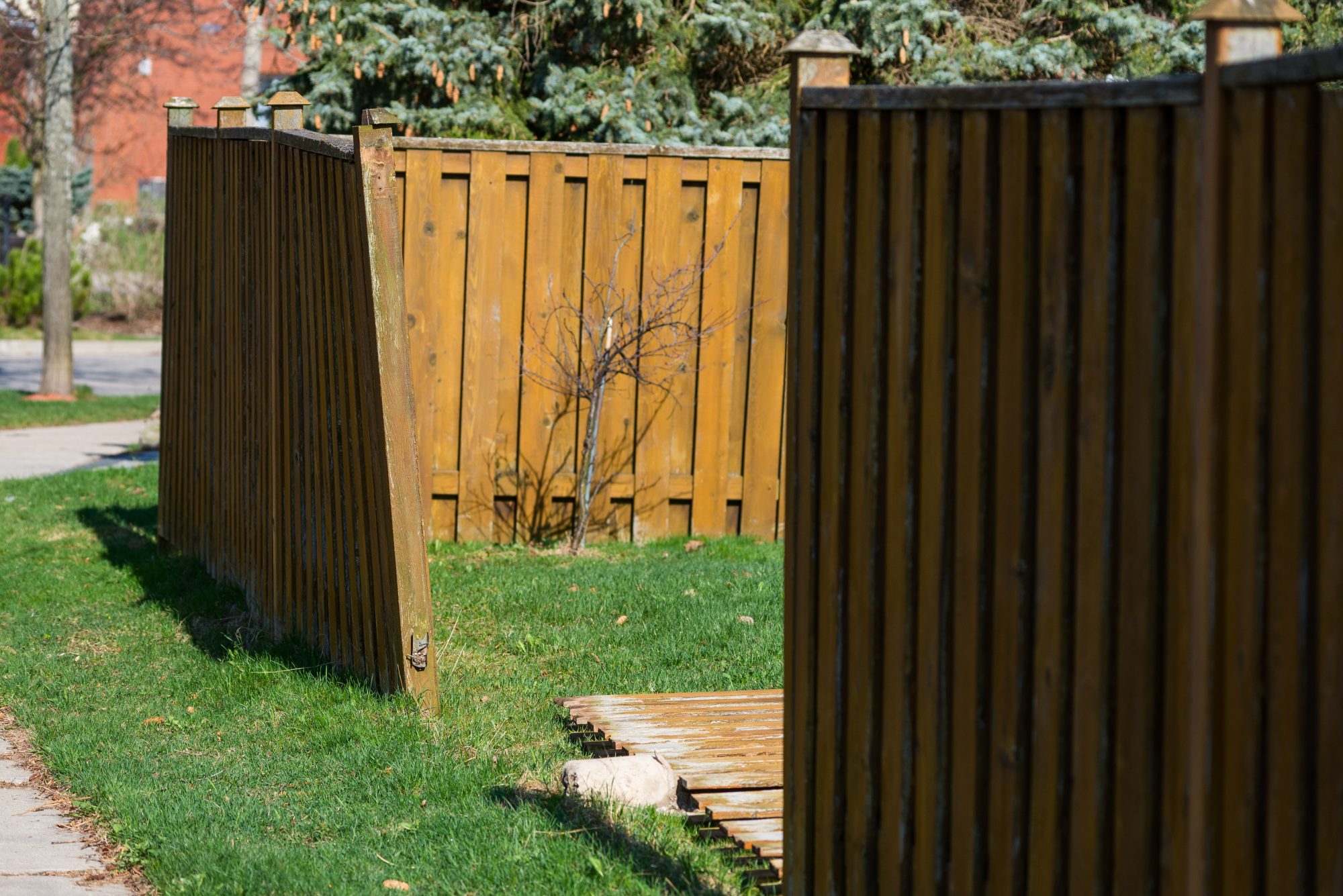 What Are the Five Most Common Reasons for Fence Damage? | Fence Masters ...